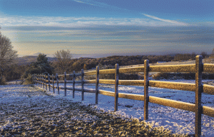 Resolutions and reflections - Lee Pub Newspapers