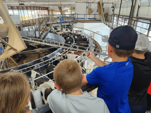 Providing students insight at the dairy - Lee Pub Newspapers