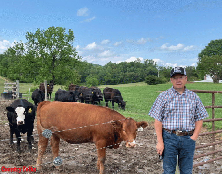 2025 College Aggies Online scholarship program kicks off Sept. 8 - Lee ...