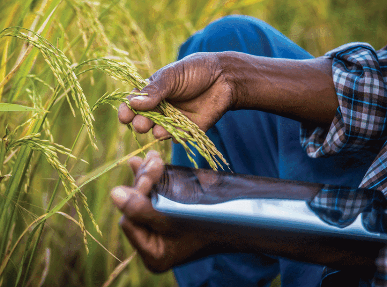 Pennsylvania Farm Show Complex and Expo Center - Lee Pub Newspapers