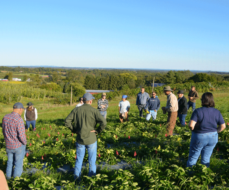 Hit the sweet (potato) spot with homemade bread - Lee Pub Newspapers